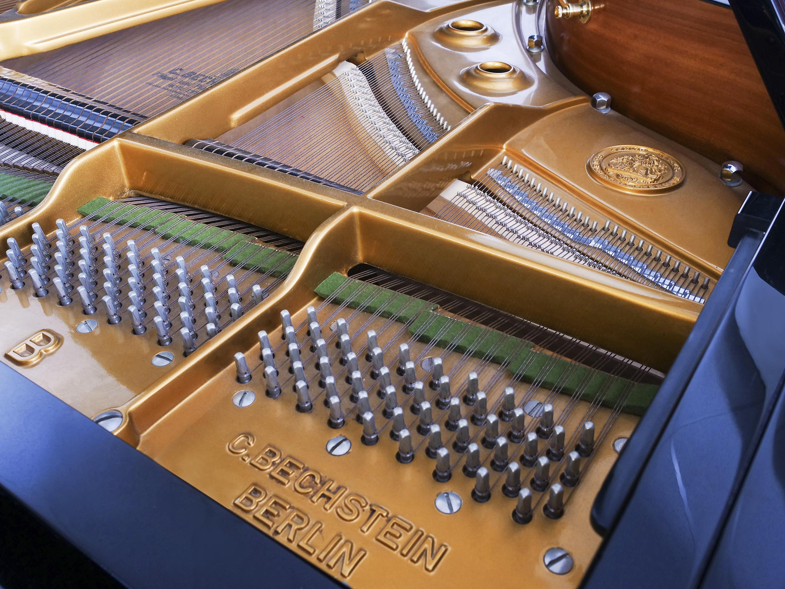 Bechstein Grand B-210 - Theme and Variations