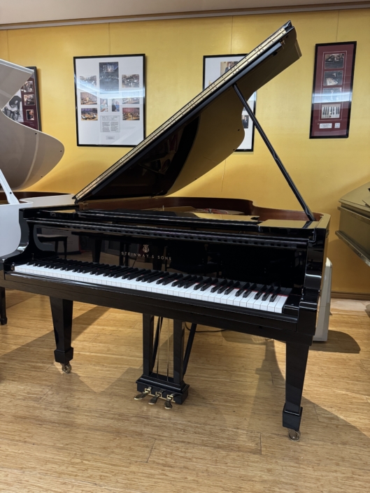 Steinway B-211 (2011) - Theme and Variations